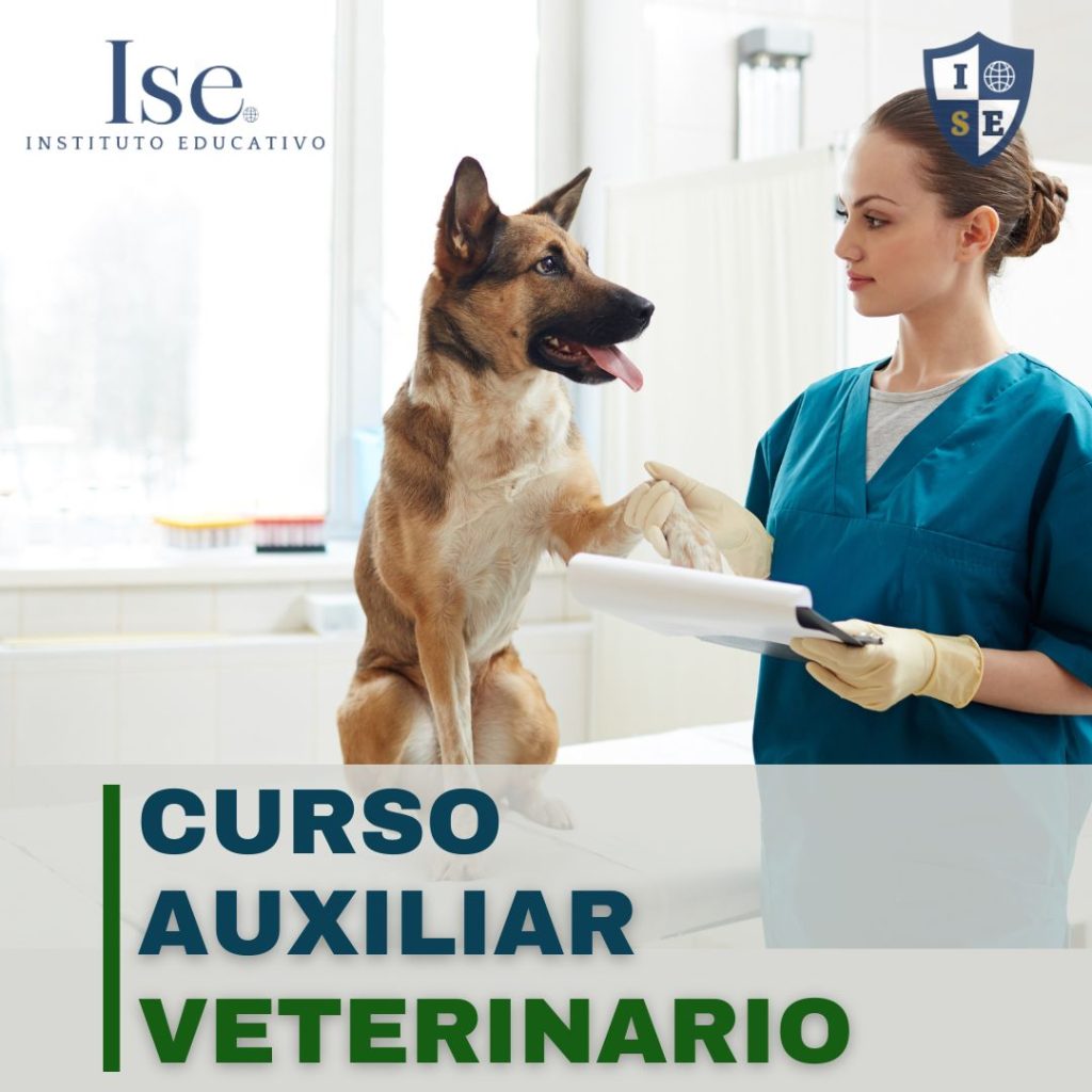 Auxiliar Veterinario – ISE Instituto Educativo